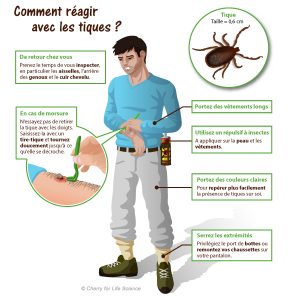 Signalements-Tique, une application pour s’informer sur les tiques