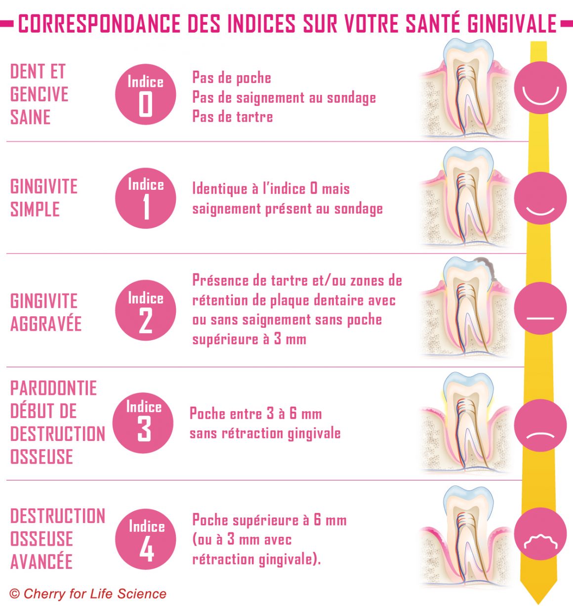 Gingivite : définition, symptômes et traitement - Santé sur le Net