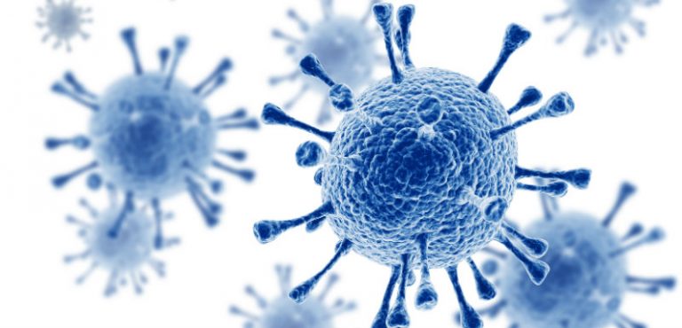 R0 ou R zéro - Rougeole, Ebola... : quel est le plus contagieux