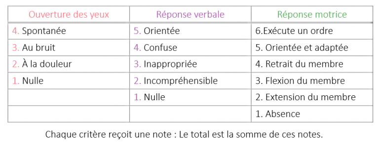 Coma : définition, symptômes et traitements - Santé sur le Net