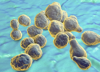 Pneumologie - Tout savoir sur les maladies des voies respiratoires