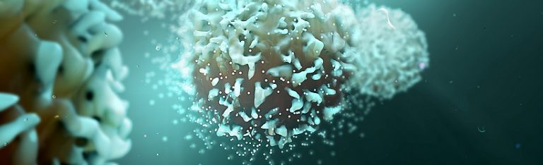 Histiocytose : Définition, symptômes, traitements - Santé sur le Net