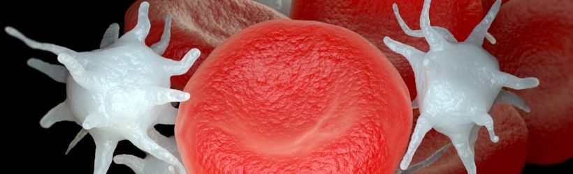 Thrombopénie : définition et symptômes - Santé sur le net