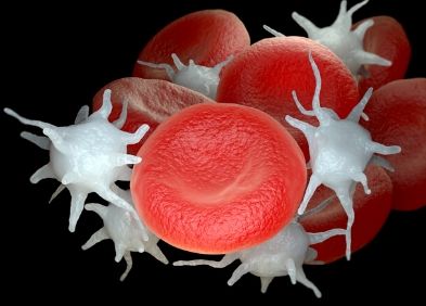 Hématologie - Tout savoir sur le sang et ses maladies