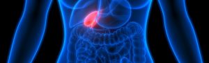 Cholestase : définition, symptômes, diagnostic et traitement