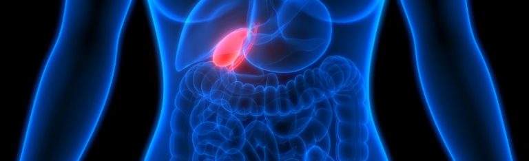 Cholestase : définition, symptômes, diagnostic et traitement