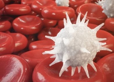 Hématologie - Tout savoir sur le sang et ses maladies