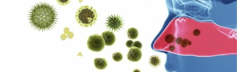 Rhinite allergique : symptômes, diagnostic, traitement