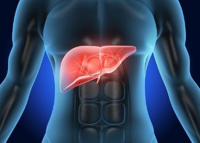 Cancer : Les différents types de cancers et leurs symptômes