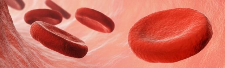 Drépanocytose : Transmission Symptômes Traitement...