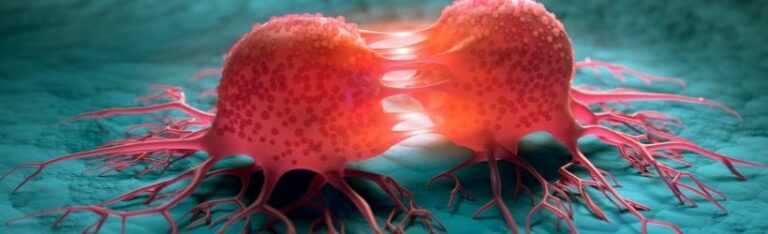 Cancer des voies aérodigestives supérieures (VADS) : définition