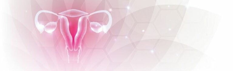 Adénomyose : Définition, symptômes, diagnostic et traitements