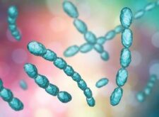 Chancre mou : Définition, symptômes, diagnostic et traitements