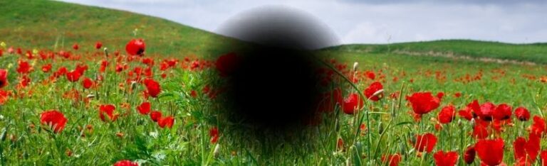 DMLA : définition, symptômes et traitements...