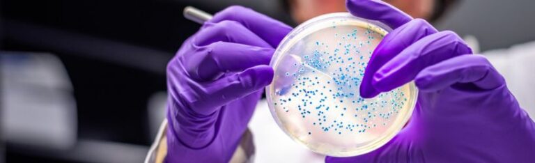 Infections à streptocoques : définition - Santé sur le Net