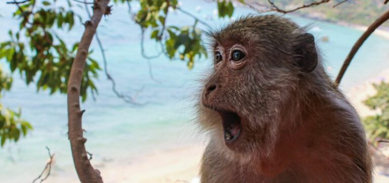 Catalepsie : Définition, symptômes, diagnostic et traitements