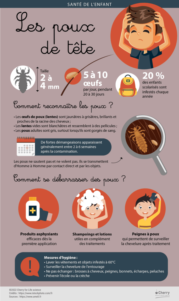 Les poux de tête - Santé sur le Net, l’information médicale au cœur de ...