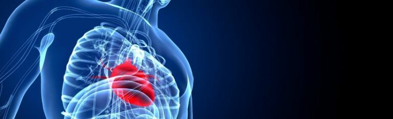 Endocardite infectieuse : Symptômes, diagnostic et traitements