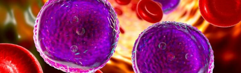 Hématologie - Tout savoir sur le sang et ses maladies