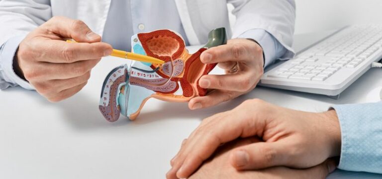 Les statines, un intérêt thérapeutique, mais aussi des risques