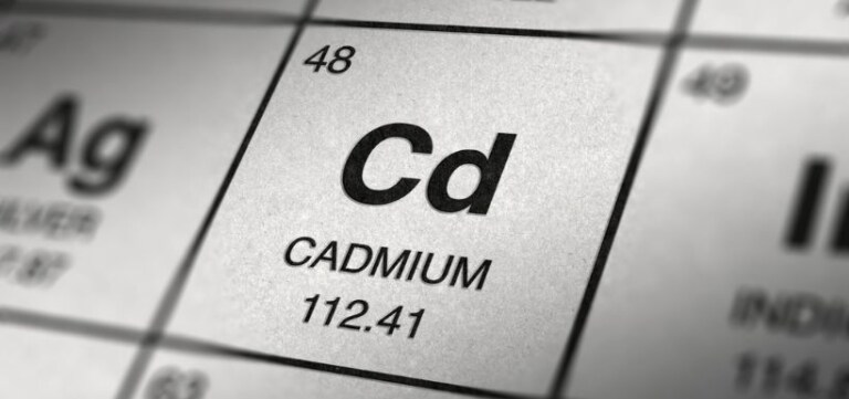 Cadmium alimentation : risques et comment limiter son exposition